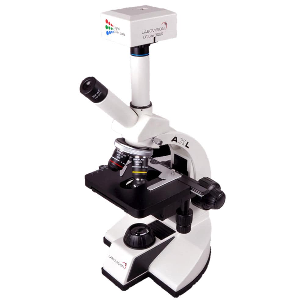 Optical microscope - DG Edu Lab - Labovision Microscopes - digital ...