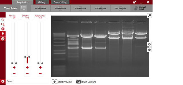 Chemiluminescence molecular imaging system - ChemStudio™ touch - UVP - automatic / for Western ...