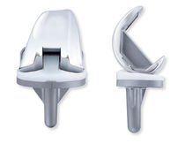 Cemented knee prosthesis - All medical device manufacturers