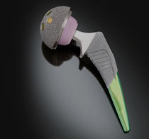Hip prosthesis - All medical device manufacturers
