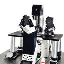 Scientifica: Laboratory - MedicalExpo