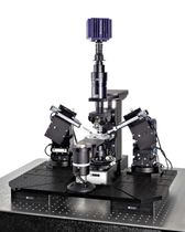 Scientifica: Laboratory - MedicalExpo