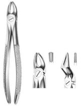 Pediatric dental extraction forceps, Baby dental extraction forceps ...