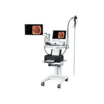 Gastroenterology,Gastroscopes, Duodenoscopes - All medical device ...