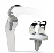 Cemented knee prosthesis - All medical device manufacturers