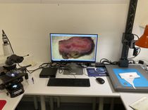 Excilone: Laboratory - MedicalExpo