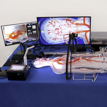 Bronchoscopy simulator - All medical device manufacturers