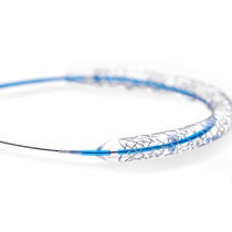 Purple Microport: Secondary care - MedicalExpo