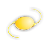 PMMA intraocular lens - All medical device manufacturers
