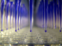 Dia.Pro Diagnostic Bioprobes : Laboratory - MedicalExpo