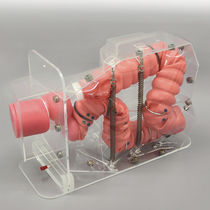 Endoscopy simulator - All medical device manufacturers