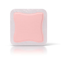 Smith & Nephew: Secondary care - MedicalExpo