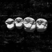 Zirkonzahn: Dental - MedicalExpo
