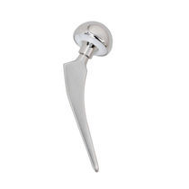 Hip prosthesis - All medical device manufacturers