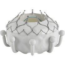 Edwards Lifesciences: Secondary care - MedicalExpo