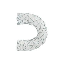 Terumo Aortic: Secondary care - MedicalExpo