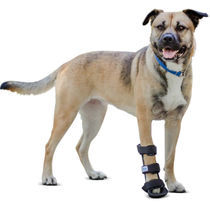 Canine veterinary splint - All medical device manufacturers