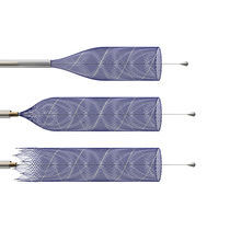 Intracranial stent - All medical device manufacturers