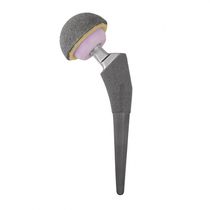 Hip prosthesis - All medical device manufacturers