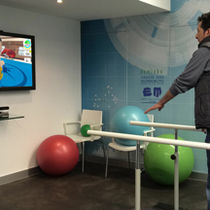Balance rehabilitation system - All medical device manufacturers