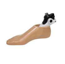 Multi-axis prosthetic foot - All medical device manufacturers