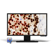 3DHISTECH Ltd.: Laboratory - MedicalExpo