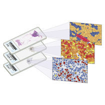 3DHISTECH Ltd.: Laboratory - MedicalExpo