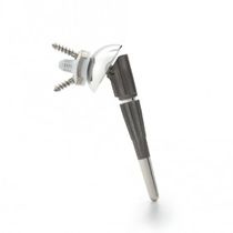 Shoulder prosthesis - All medical device manufacturers