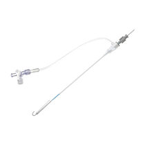 Vascular access sheath, Vascular introducer - All medical device ...