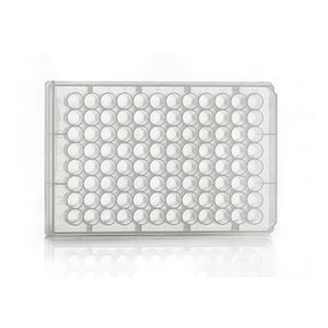 Laboratory microplate - FrameStar® - Azenta life sciences - 96-well / 8 ...