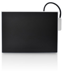 Mammography flat panel detector - VIVIX-M 2430D - Vieworks - portable