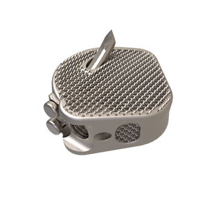 Lumbar interbody fusion cage - Procida PLIF - Tsunami Medical ...