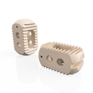 Interbody fusion cage - All medical device manufacturers - Page 3