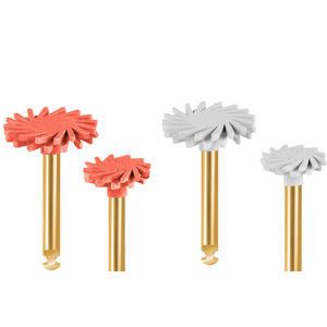 Dental polishing instrument kit - LDZR - Foss Viking