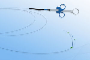 Biliary stone extraction endoscopic basket - L331815 - Leo Medical ...