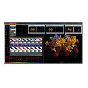 Analysis software - MiShell - Microptik BV - image analysis / for ...