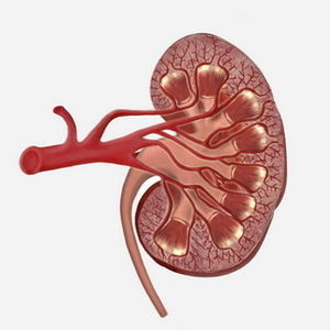 SIMTICS: Primary care - MedicalExpo