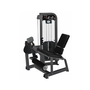 Back extension gym station - HAMMER STRENGTH - Life Fitness