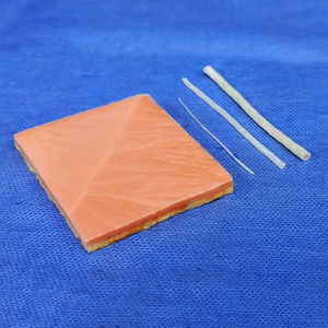 Blood vessels vascular model - 10 series - LifeLike BioTissue Inc ...