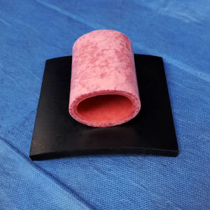 Model holder - Vaginal Cuff - LifeLike BioTissue Inc.