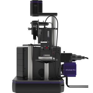 Optical microscope - PatchScope - Scientifica - neuroscience / inverted ...