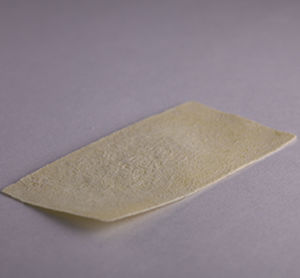 Synthetic bone substitute - BonActive - Allgens Medical - for ...