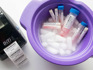 Cryogen tube label - Cryo-JetTAG™ - GA International - for microtubes ...