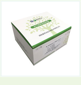 Gastrointestinal disease test kit - 0029HC - Beijing O&D Biotech Co ...