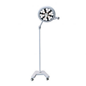 Gynecological minor surgery lamp - All medical device manufacturers