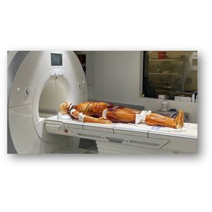 CT scan test phantom - FB-A02 - True Phantom Solutions - for MRI ...