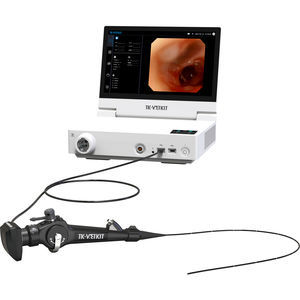 Video veterinary gastroscope - VHP-1315 - Zhuhai Seesheen Medical ...