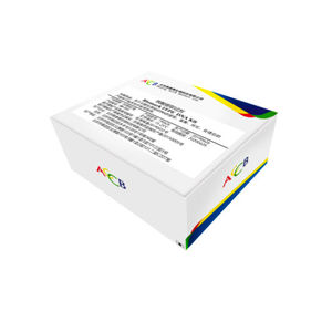 Enzyme reagent kit - Biomark - Beijing ACCB Biotech Ltd. - for DNA ...