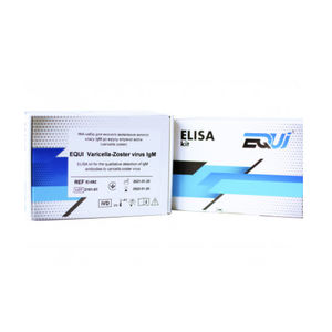 Varicella test kit - EI-091 - Equi - IgG / varicella-zoster virus / ELISA