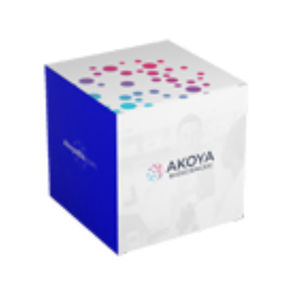 Solution reagent kit - OPAL 780 - Akoya Biosciences - antibody / stain ...